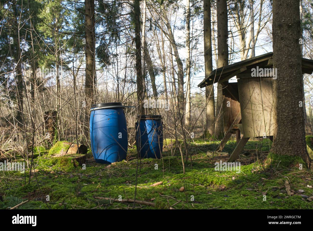 Garbage in forest hi-res stock photography and images - Alamy