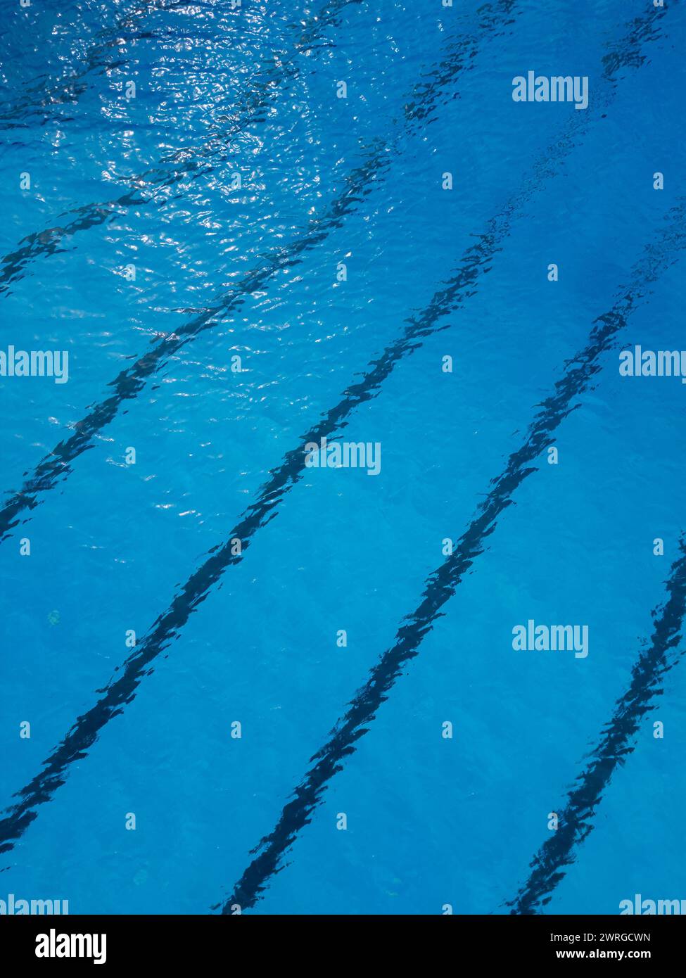 Blue Water Swimming Pool Without People Stock Photo - Alamy