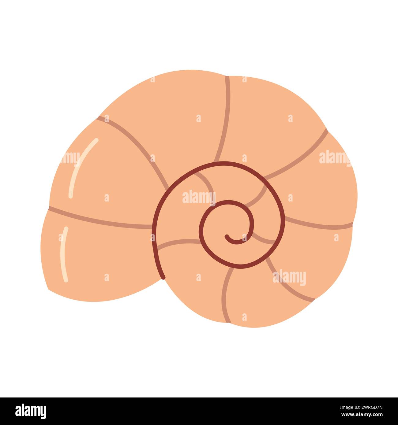 Hand drawn Seashell. Cartoon style flat illustration seashell isolated ...