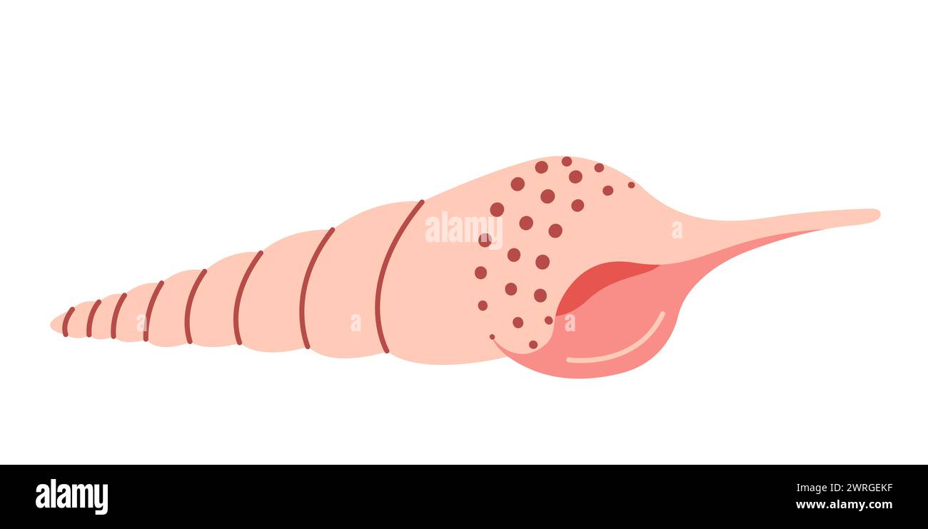 Hand drawn Murex Seashell. Cartoon style flat illustration seashell ...