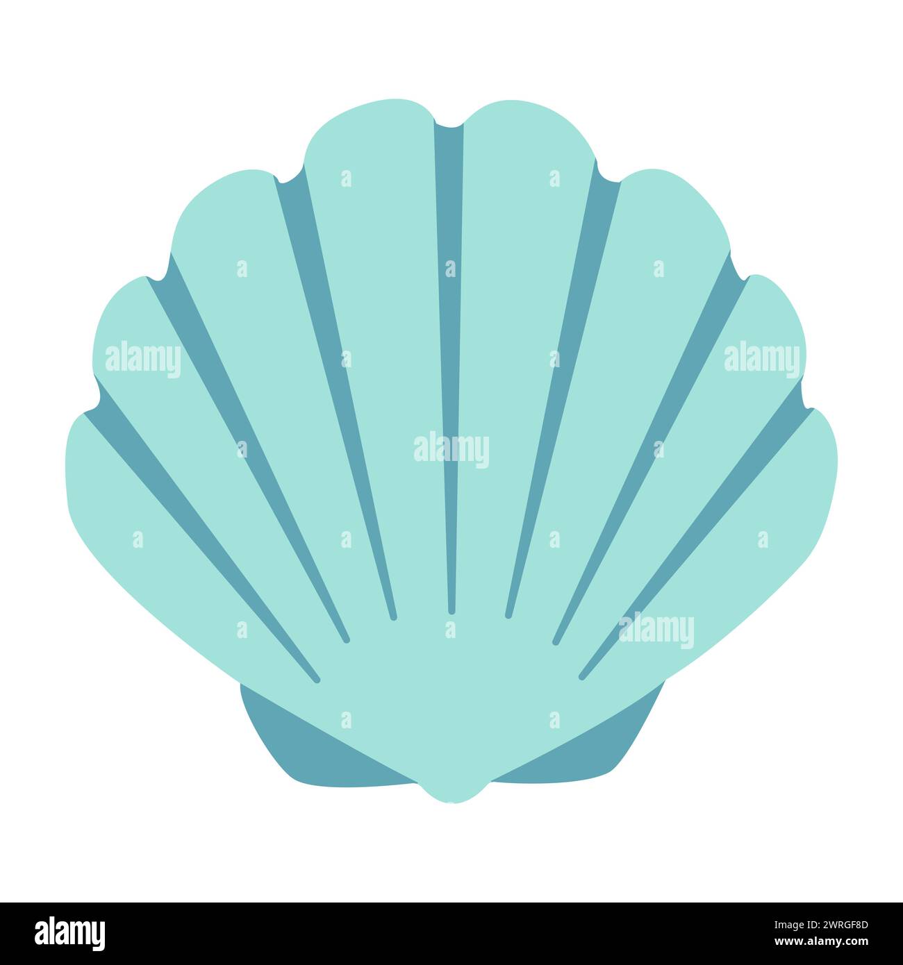 Hand drawn Scallop Seashell. Cartoon style flat illustration seashell ...