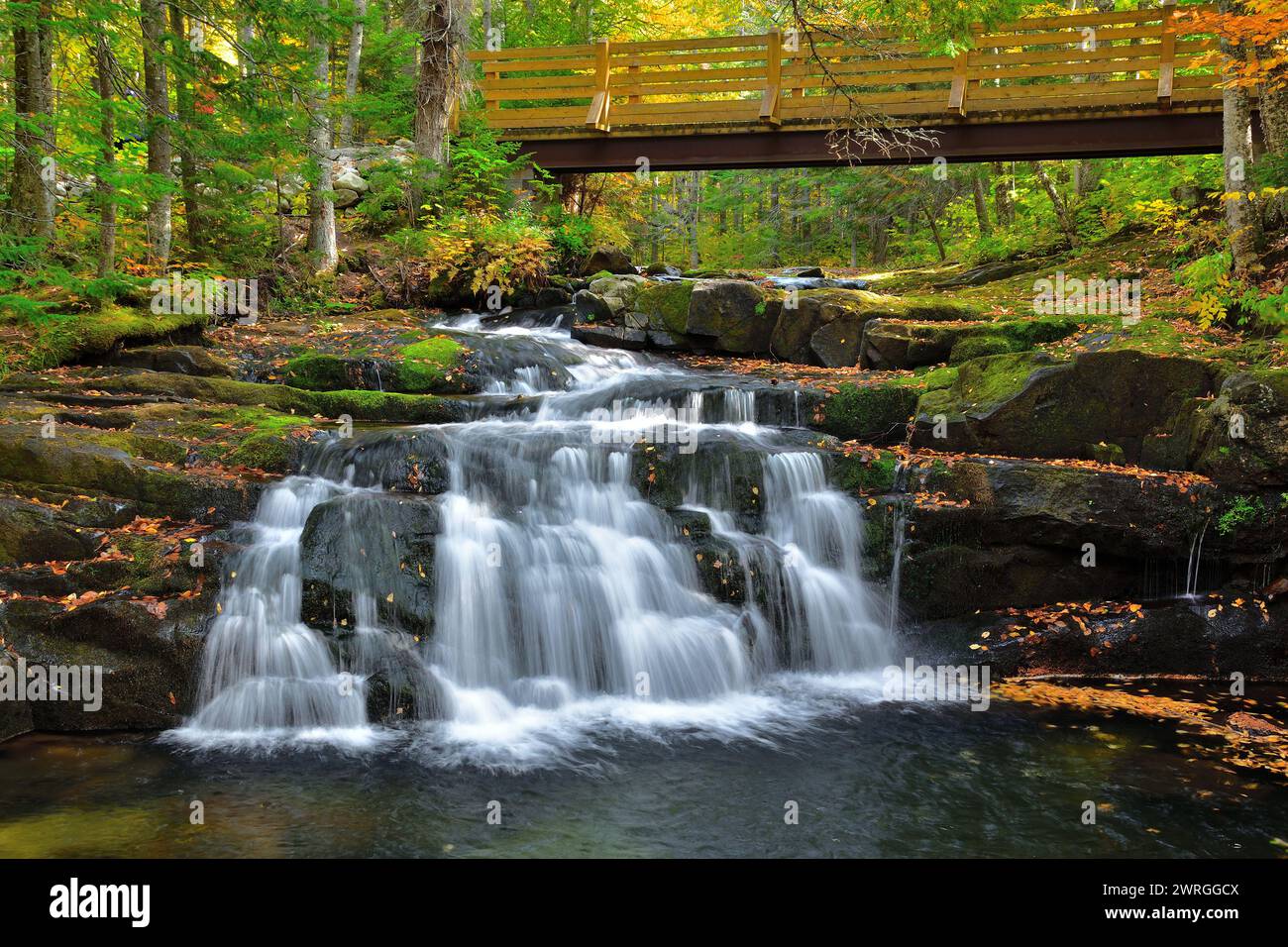 Water fall long exposure Mont Megantic, Franceville sector SEPAQ autumn ...