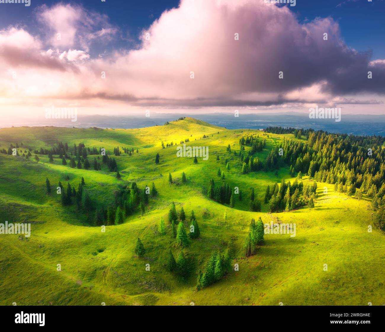 Aerial view of green alpine meadows on the hills at sunset Stock Photo ...
