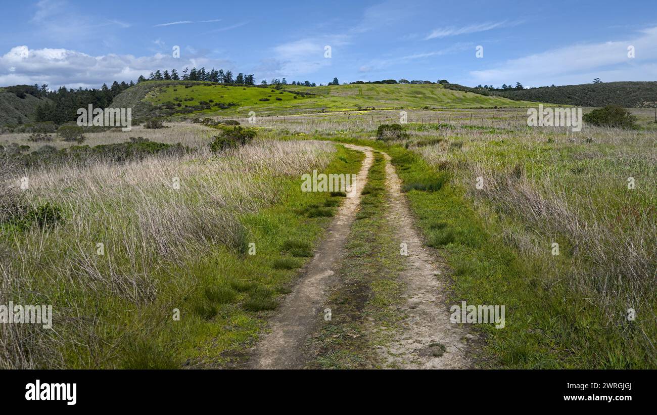 Curved trail hi-res stock photography and images - Alamy