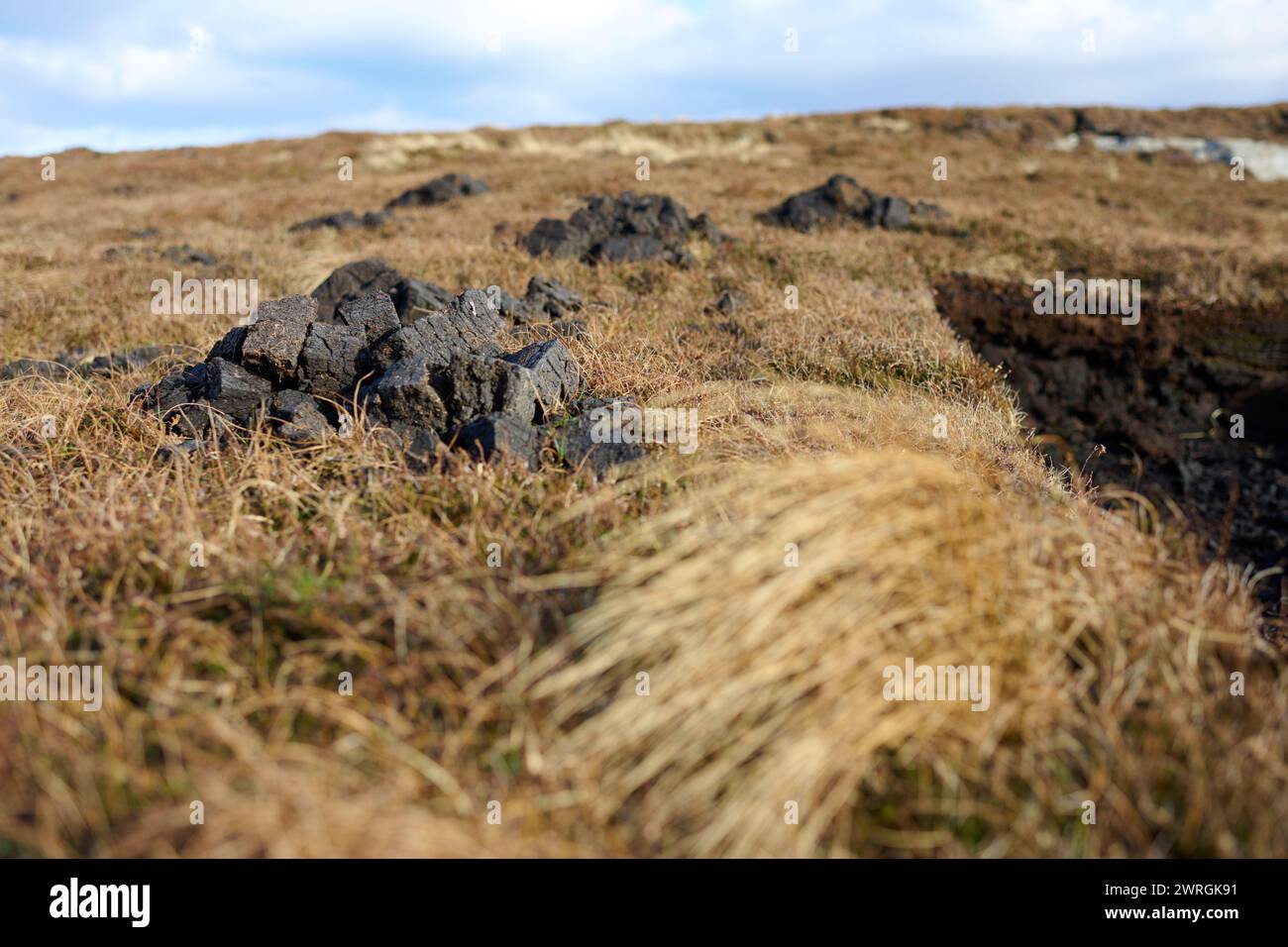Views of the Peat Bogs in the Scottish Highlands. Freshly cut peat from ...