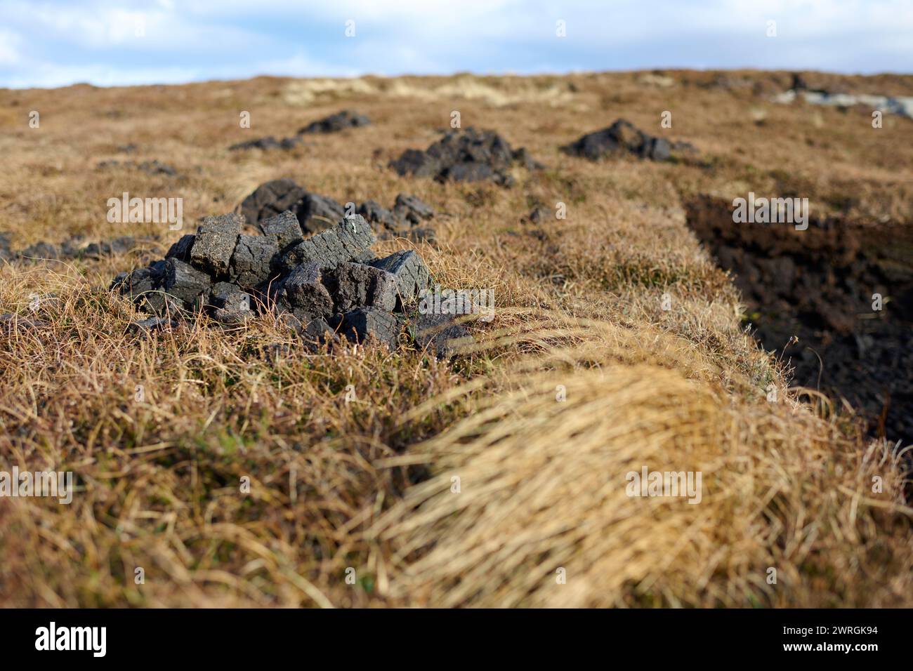 Views of the Peat Bogs in the Scottish Highlands. Freshly cut peat from ...