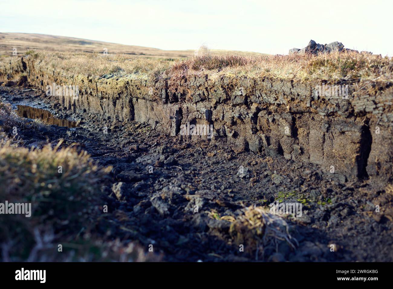 Views of the Peat Bogs in the Scottish Highlands. Freshly cut peat from ...