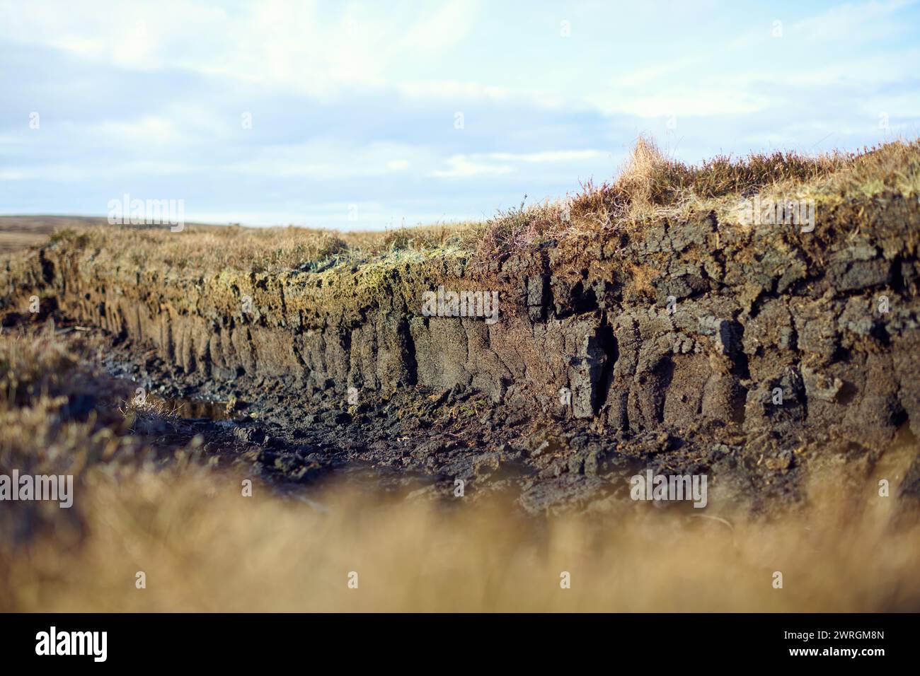 Views of the Peat Bogs in the Scottish Highlands. Freshly cut peat from ...