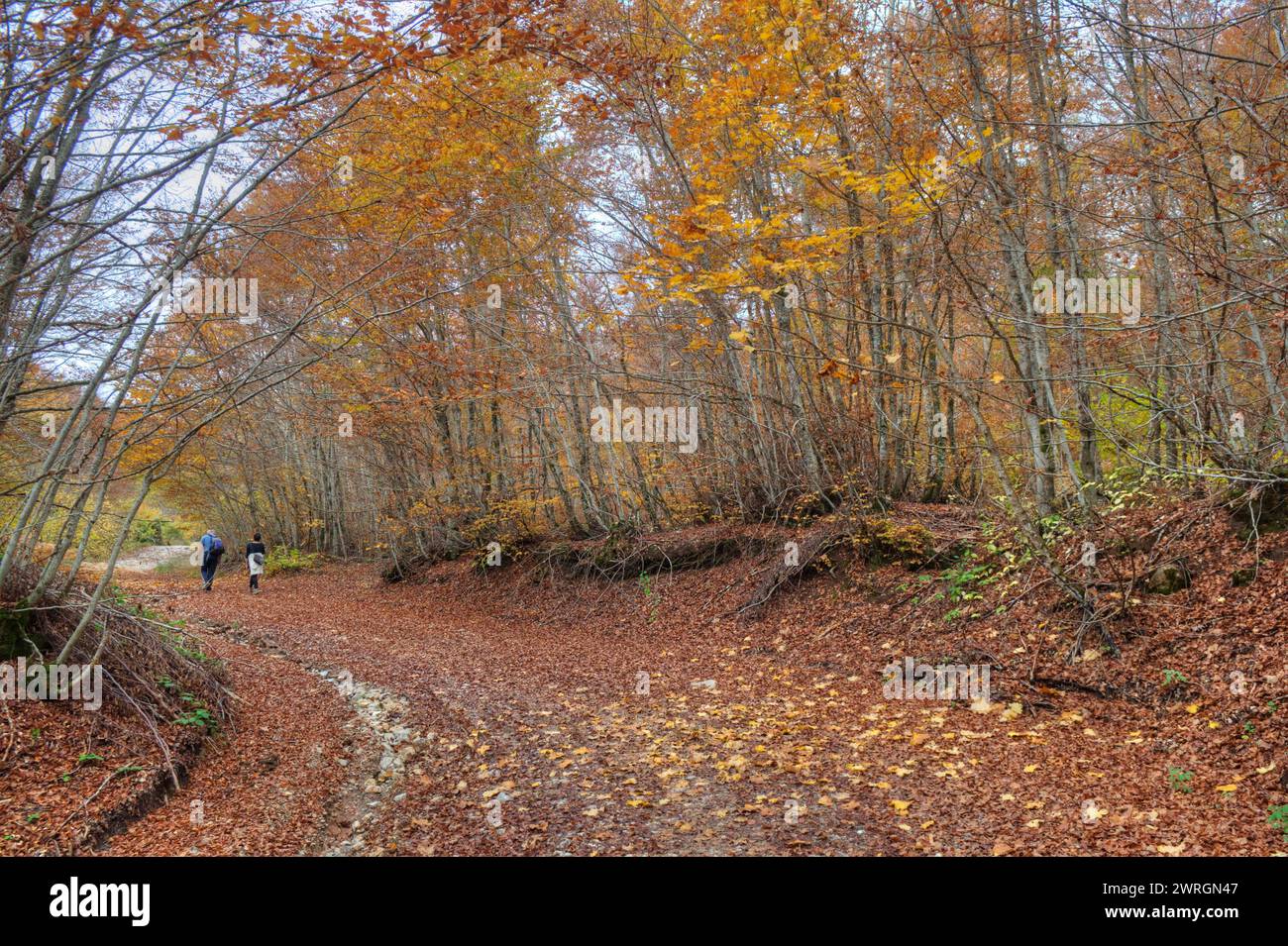 Jablanica mountain hi-res stock photography and images - Alamy