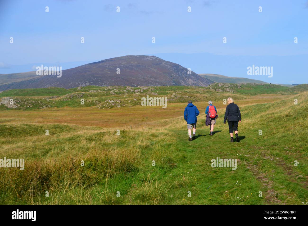 Eycott hill hi-res stock photography and images - Alamy