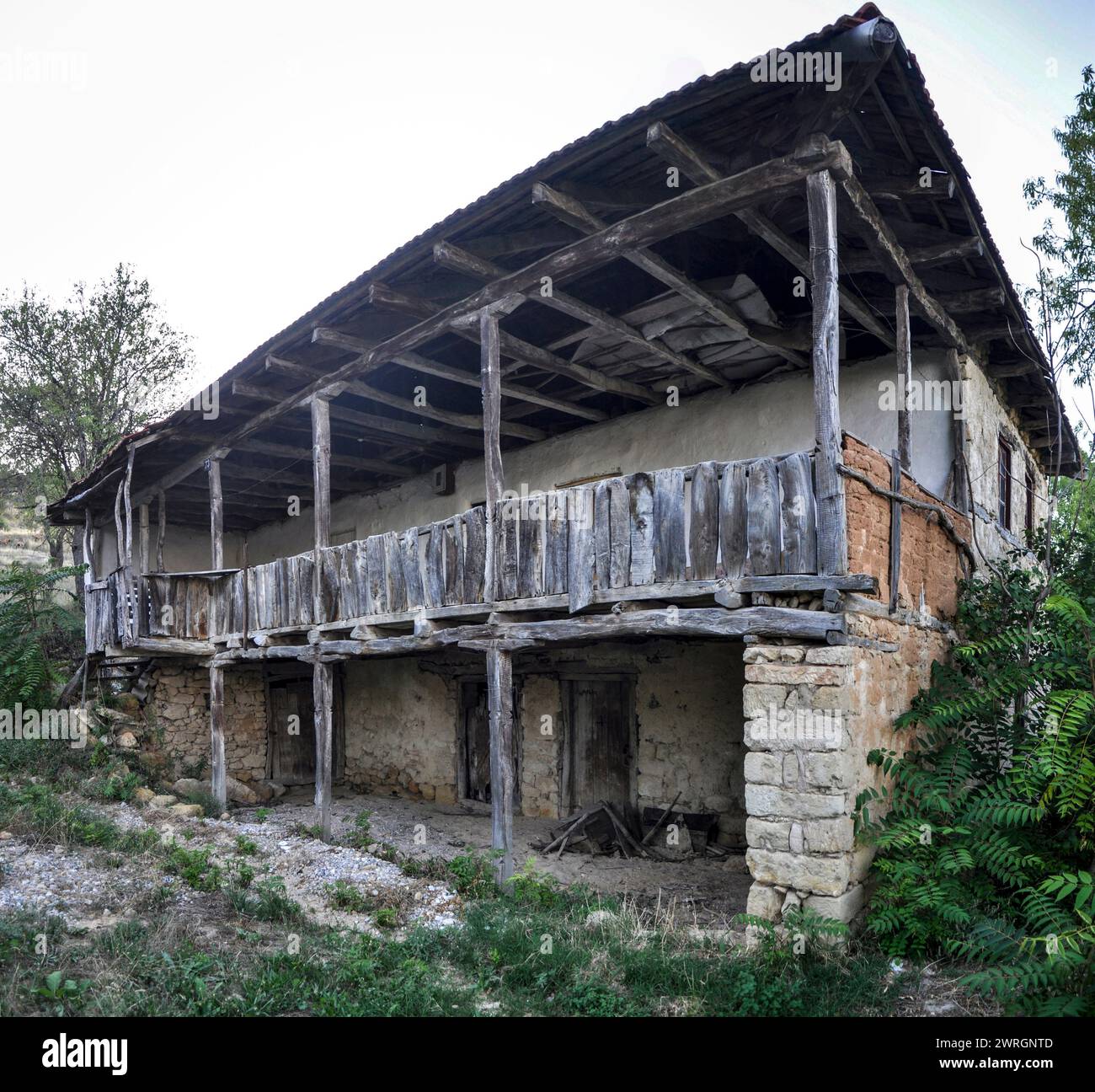 Skopje greenery hi-res stock photography and images - Alamy