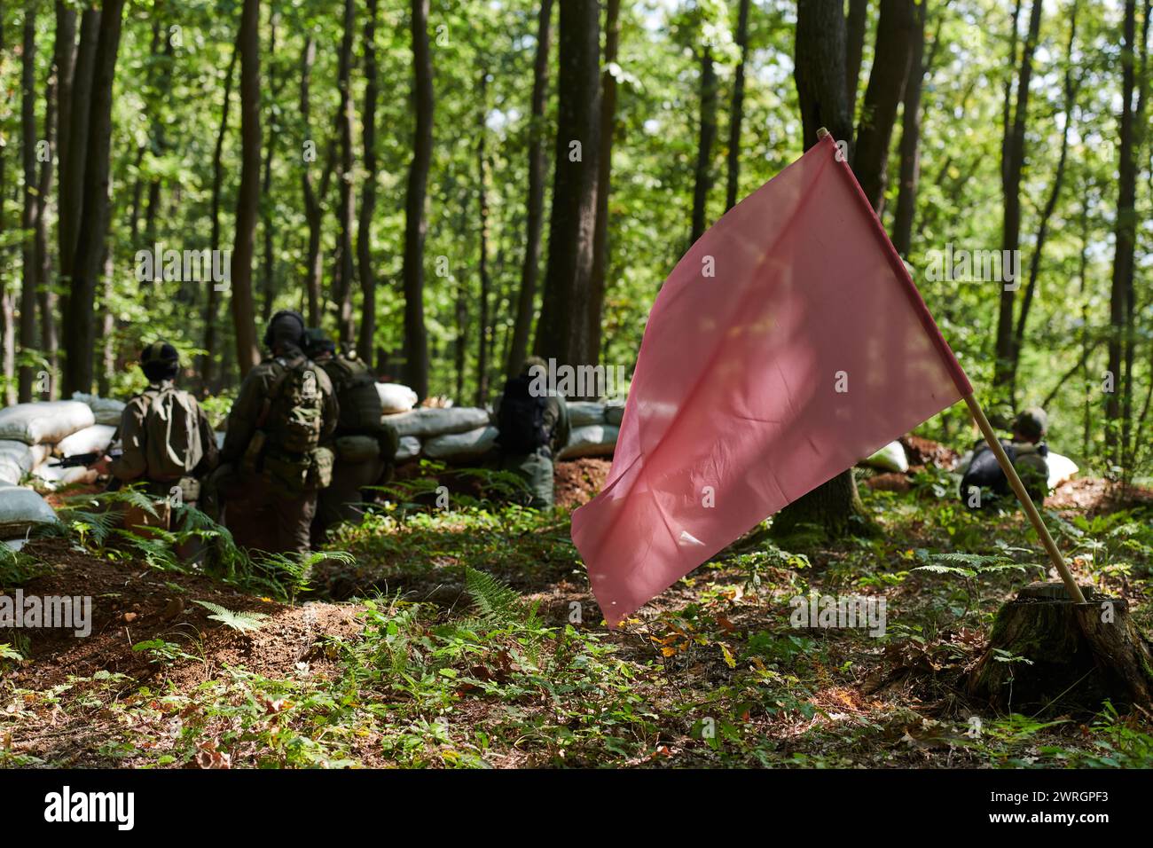 A disciplined and specialized military unit, donned in camouflage ...