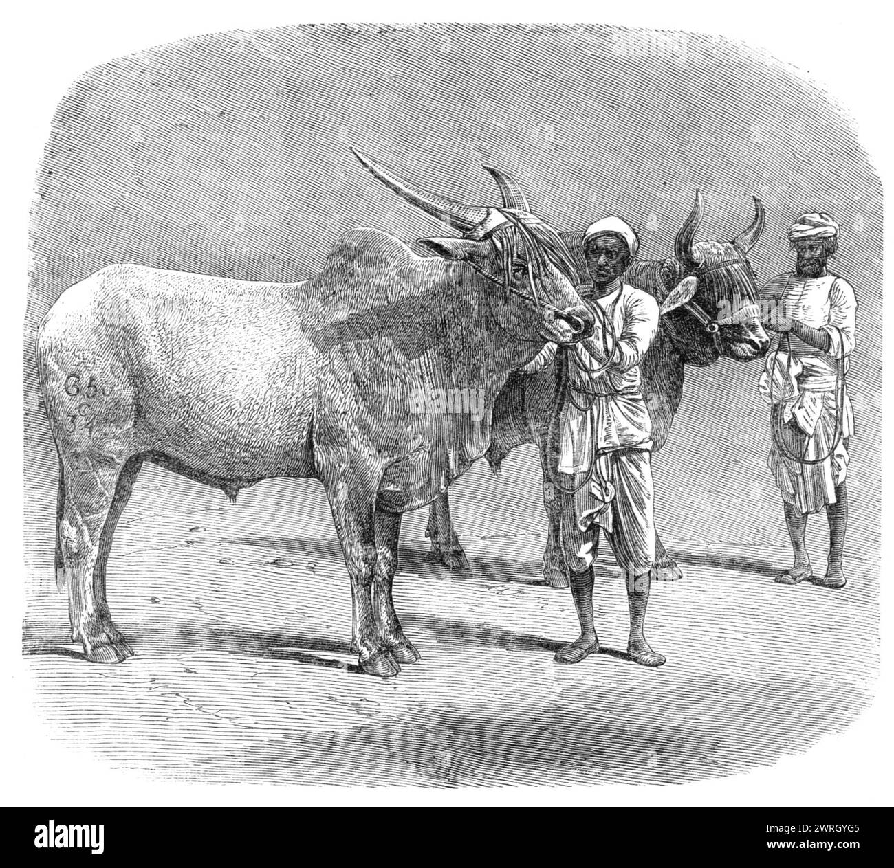 Roorkee Black and White Stock Photos & Images - Alamy