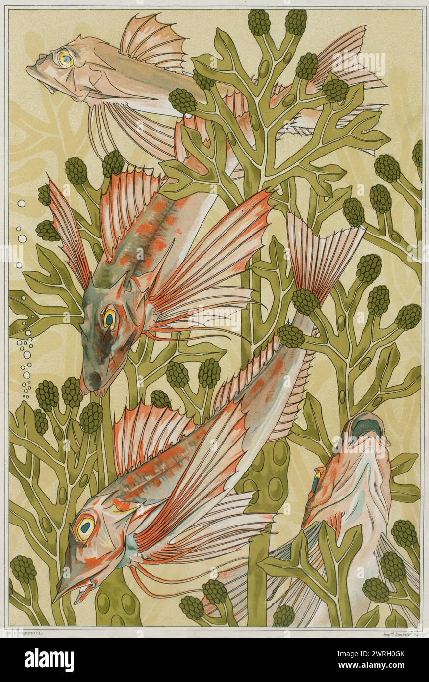 The red mullets, 1897. Private Collection Stock Photo - Alamy
