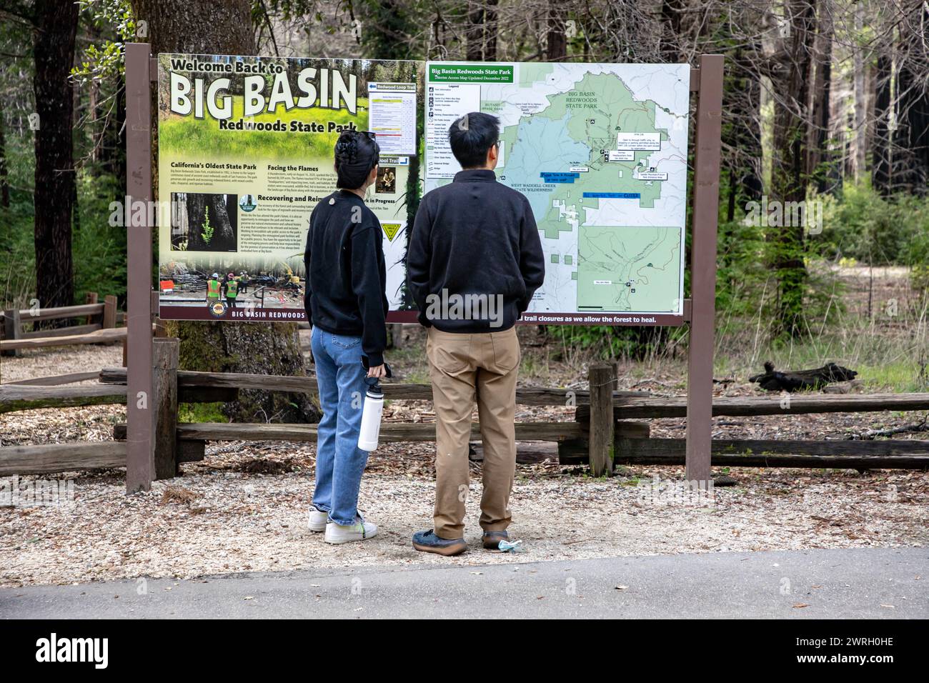Big Basin State Park in the Santa Cruz mountains of coastal California ...
