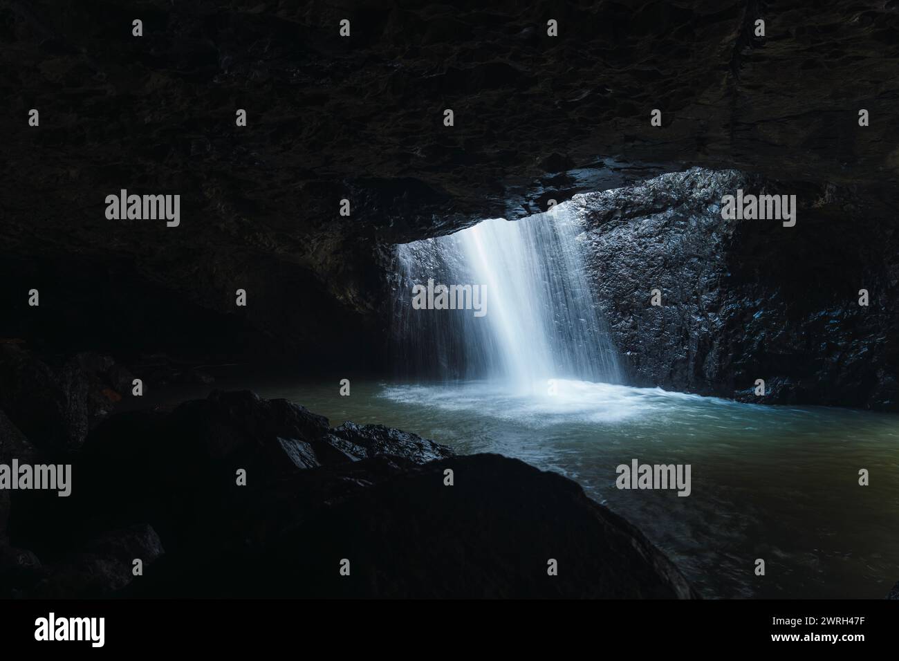 Springbrook Glow Worms Cave. National Park in Queensland, Australia ...