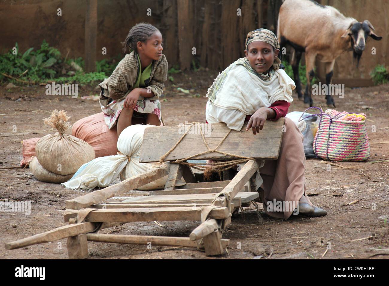 AWASSA, ETHIOPIA - NOVEMBER 26, 2011. Unidentified Ethiopian woman with ...