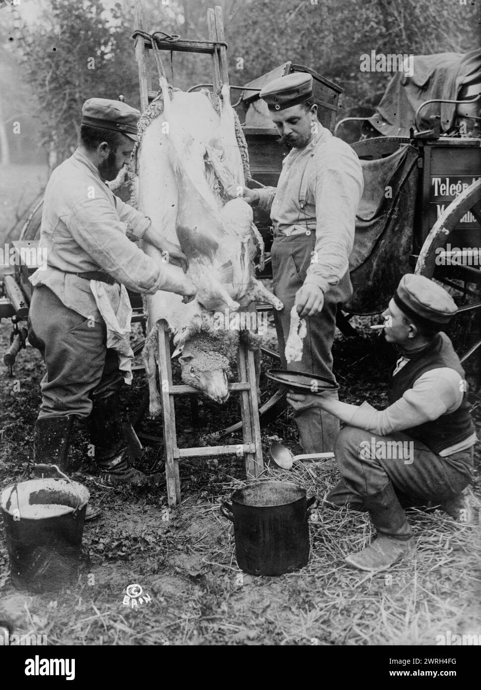 Field butcher on firing line, North Sea Coast, between 1914 and 1918 ...