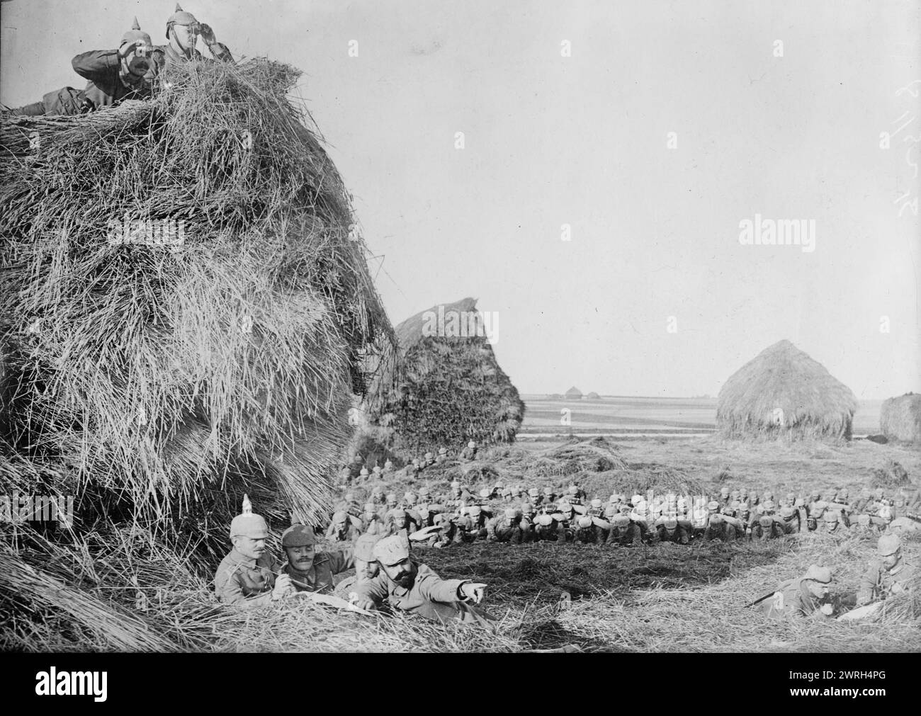 Agriculture during ww1 hi-res stock photography and images - Alamy