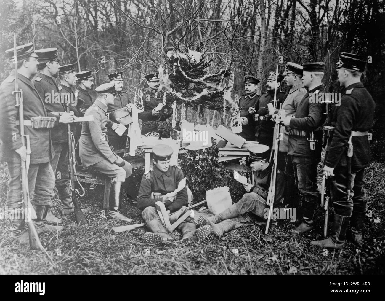 Ww1 tree Black and White Stock Photos & Images - Alamy