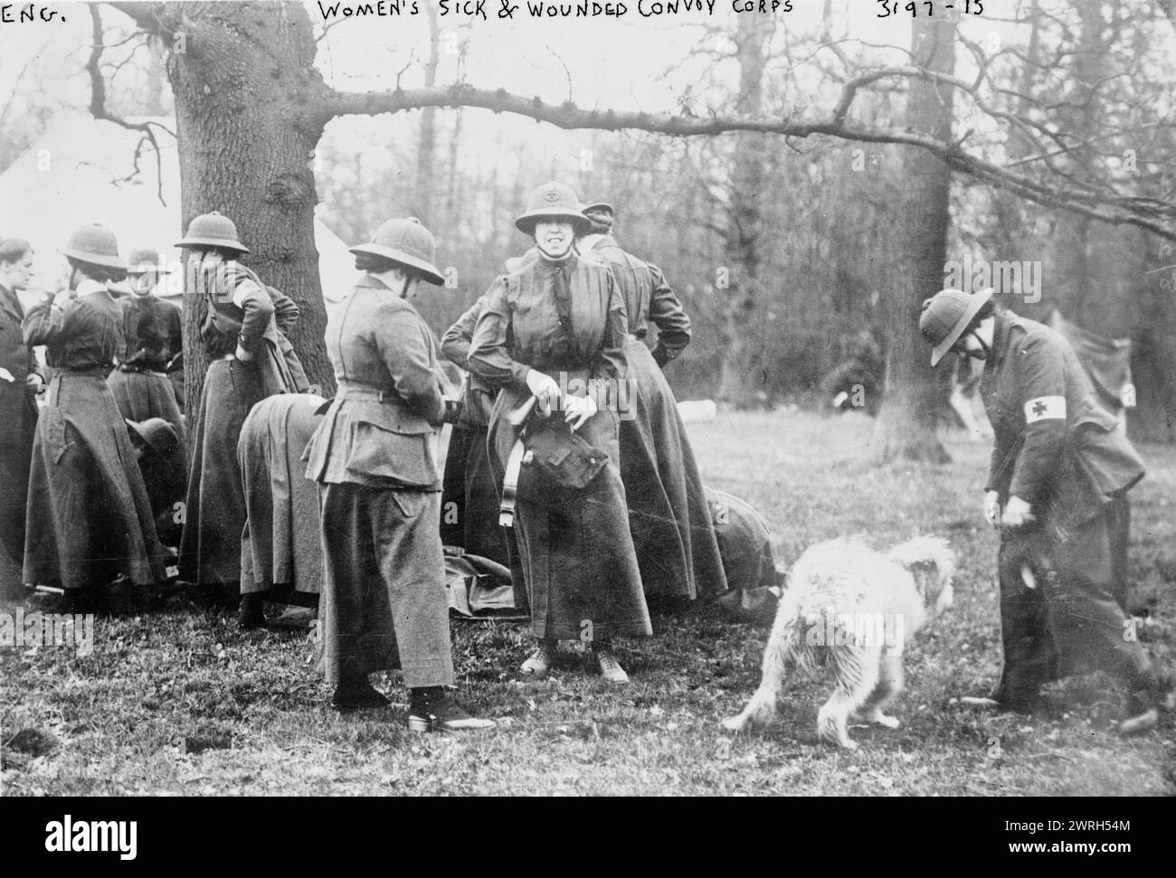 Rescue dog training in Black and White Stock Photos & Images - Alamy
