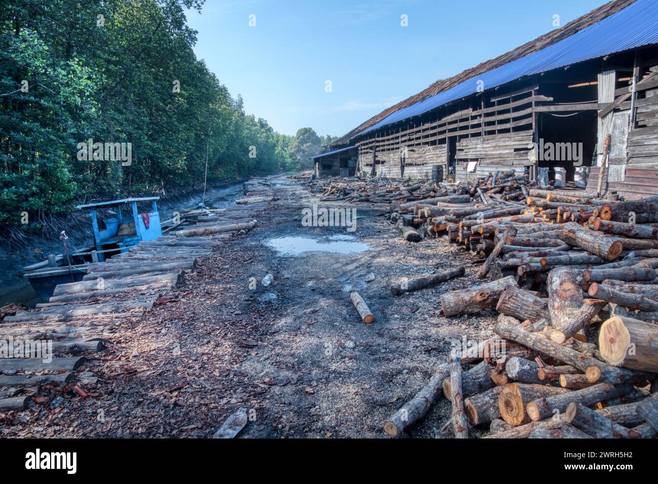Scene of mangrove logs outside the charcoal factory shed Stock Photo ...