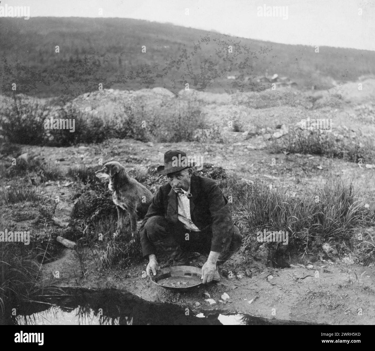 Miner panning gold, 1916 Stock Photo - Alamy