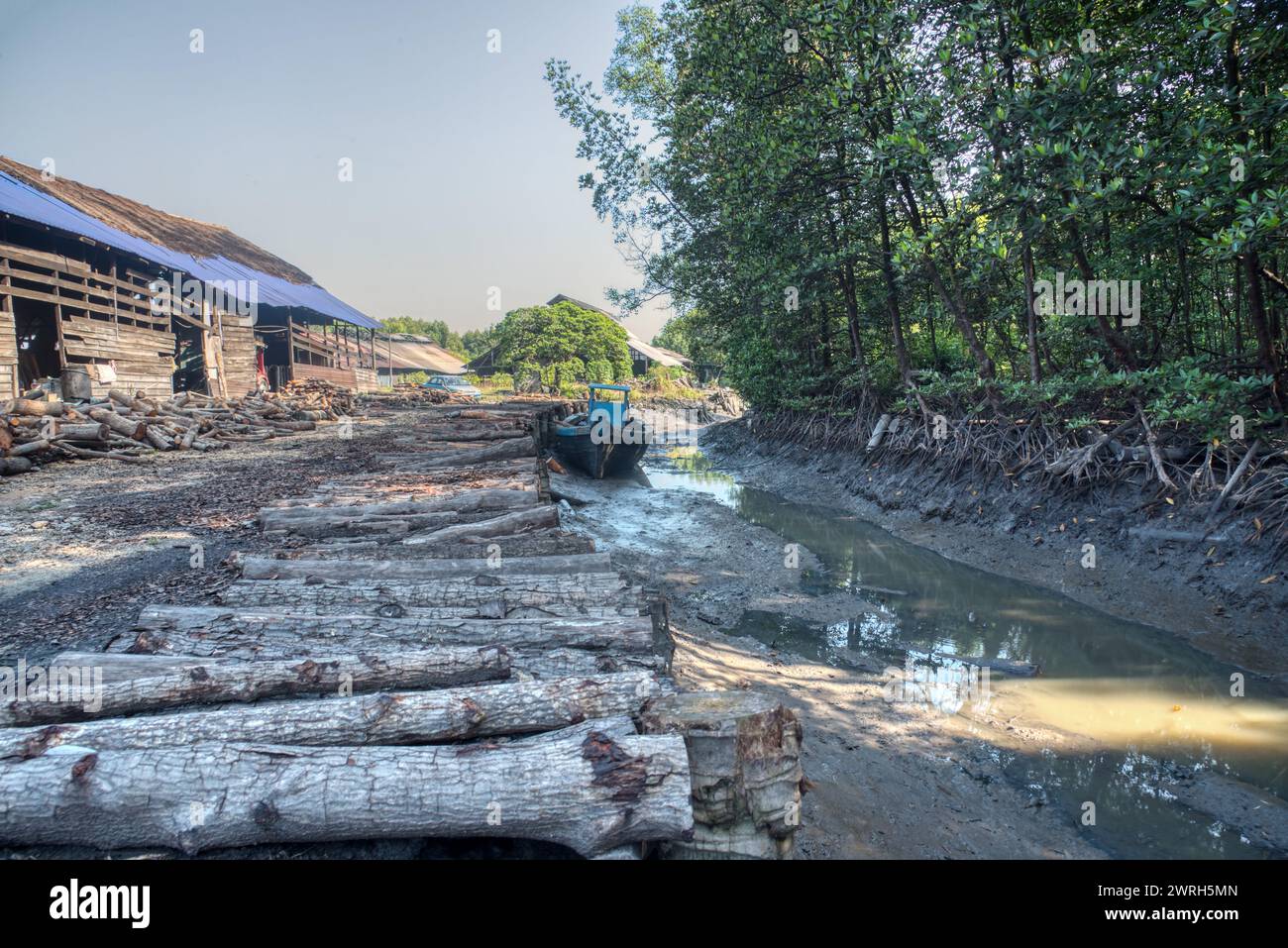 Scene of mangrove logs outside the charcoal factory shed Stock Photo ...