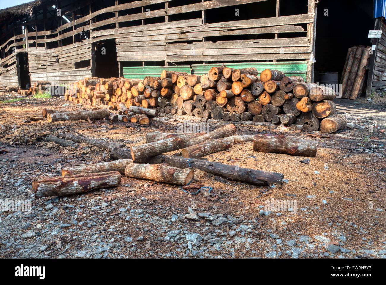 Scene of mangrove logs outside the charcoal factory shed Stock Photo ...