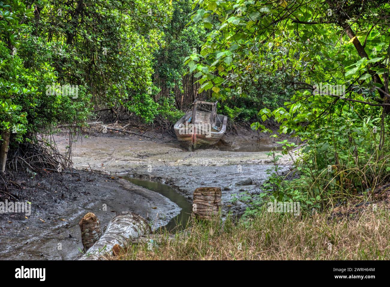 Scene of mangrove logs outside the charcoal factory shed Stock Photo ...