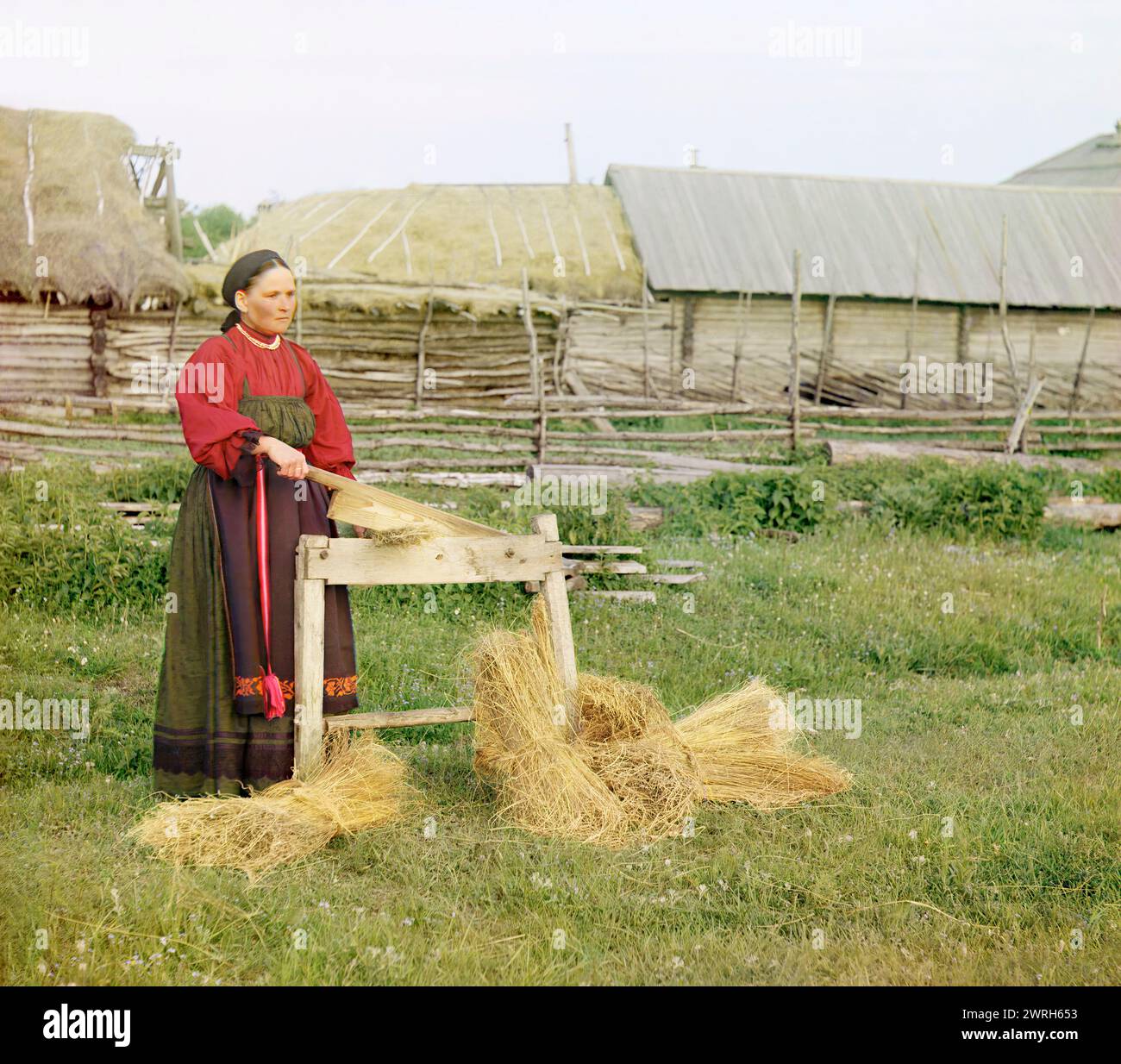 Breaking flax hi-res stock photography and images - Alamy