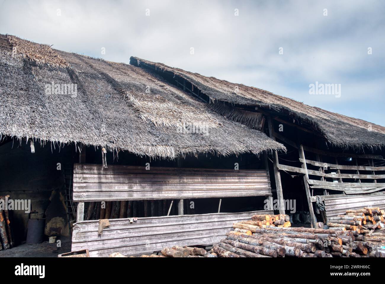 Scene of mangrove logs outside the charcoal factory shed Stock Photo ...