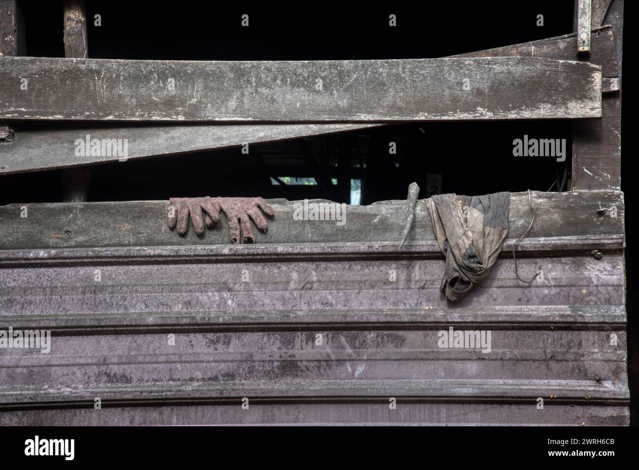 Scene of mangrove logs outside the charcoal factory shed Stock Photo ...