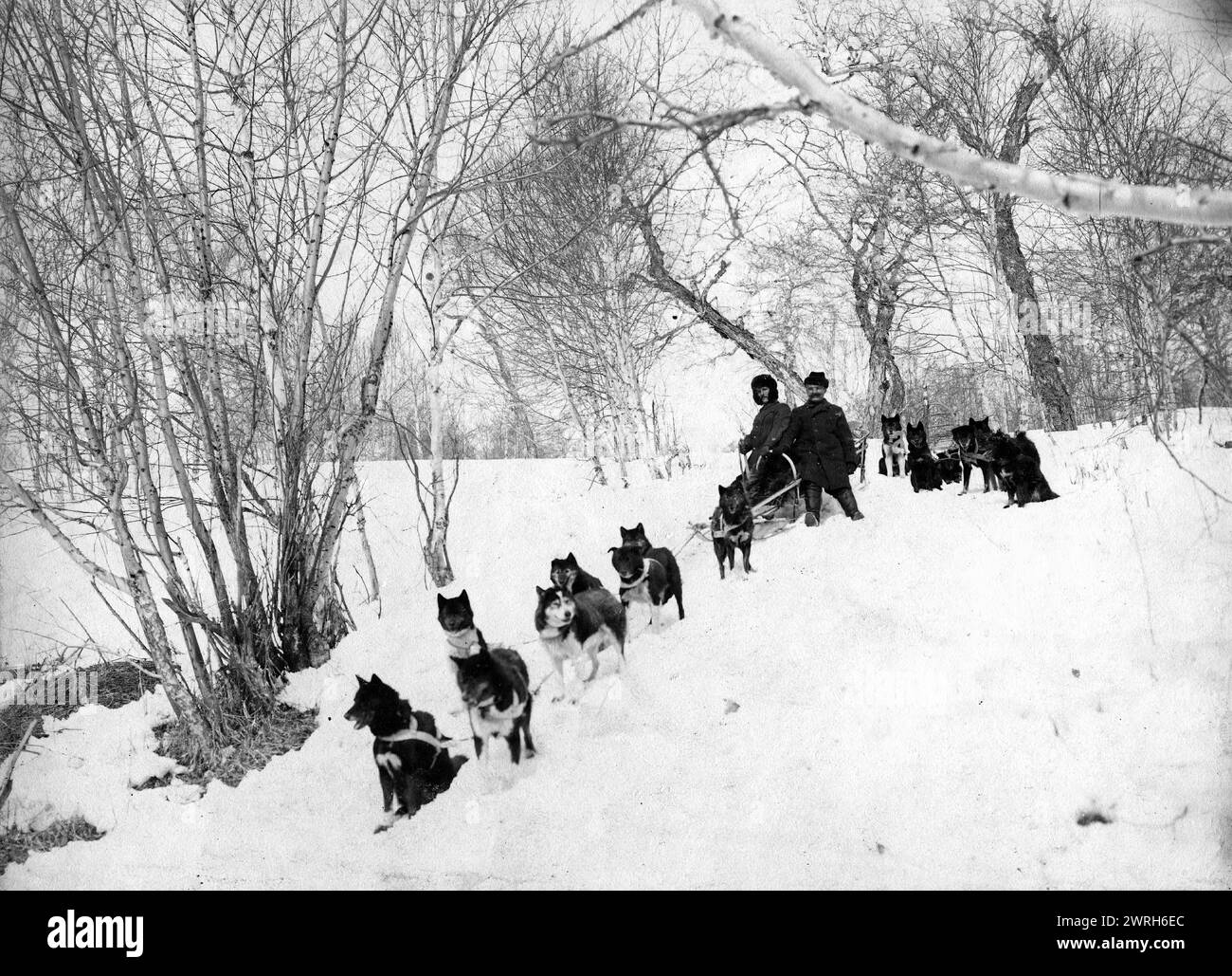 First snow in forest russian hi-res stock photography and images - Alamy