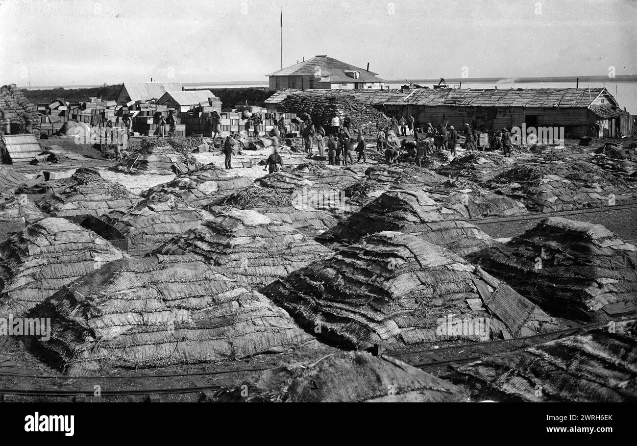 1920s seafood industry hi-res stock photography and images - Alamy