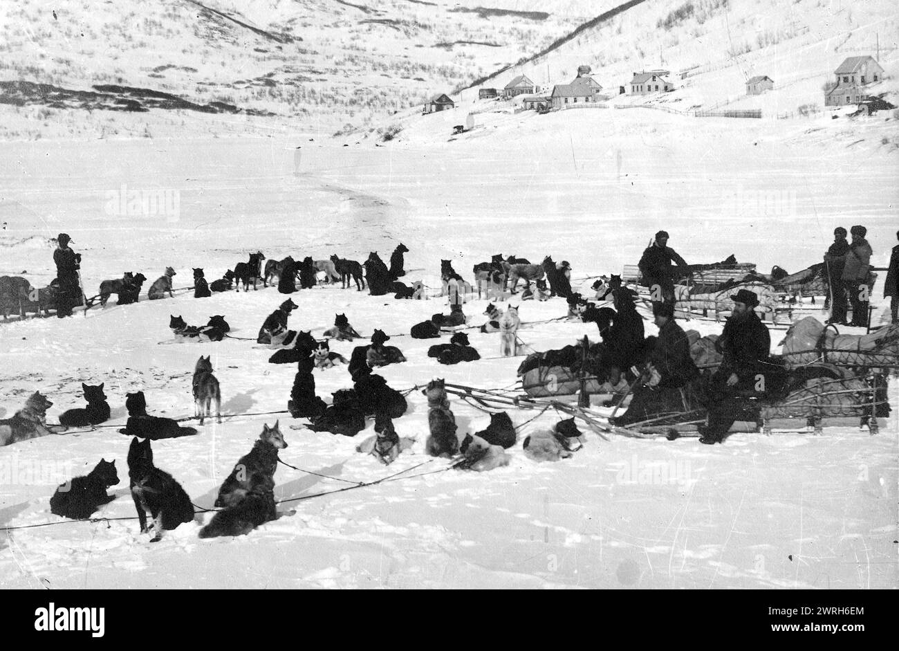 Loaded dog sleds on hi-res stock photography and images - Alamy