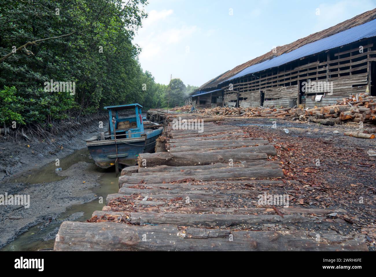 Scene of mangrove logs outside the charcoal factory shed Stock Photo ...