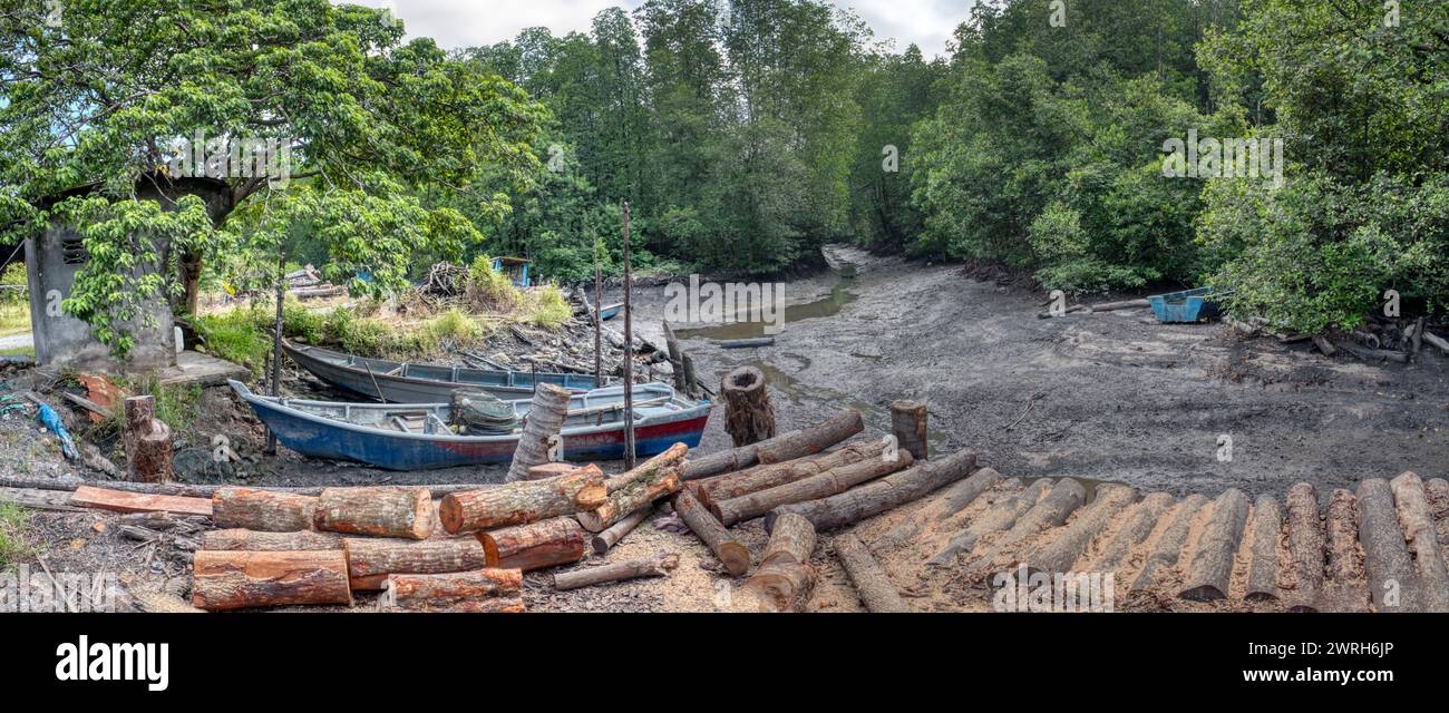 Scene of mangrove logs outside the charcoal factory shed Stock Photo ...