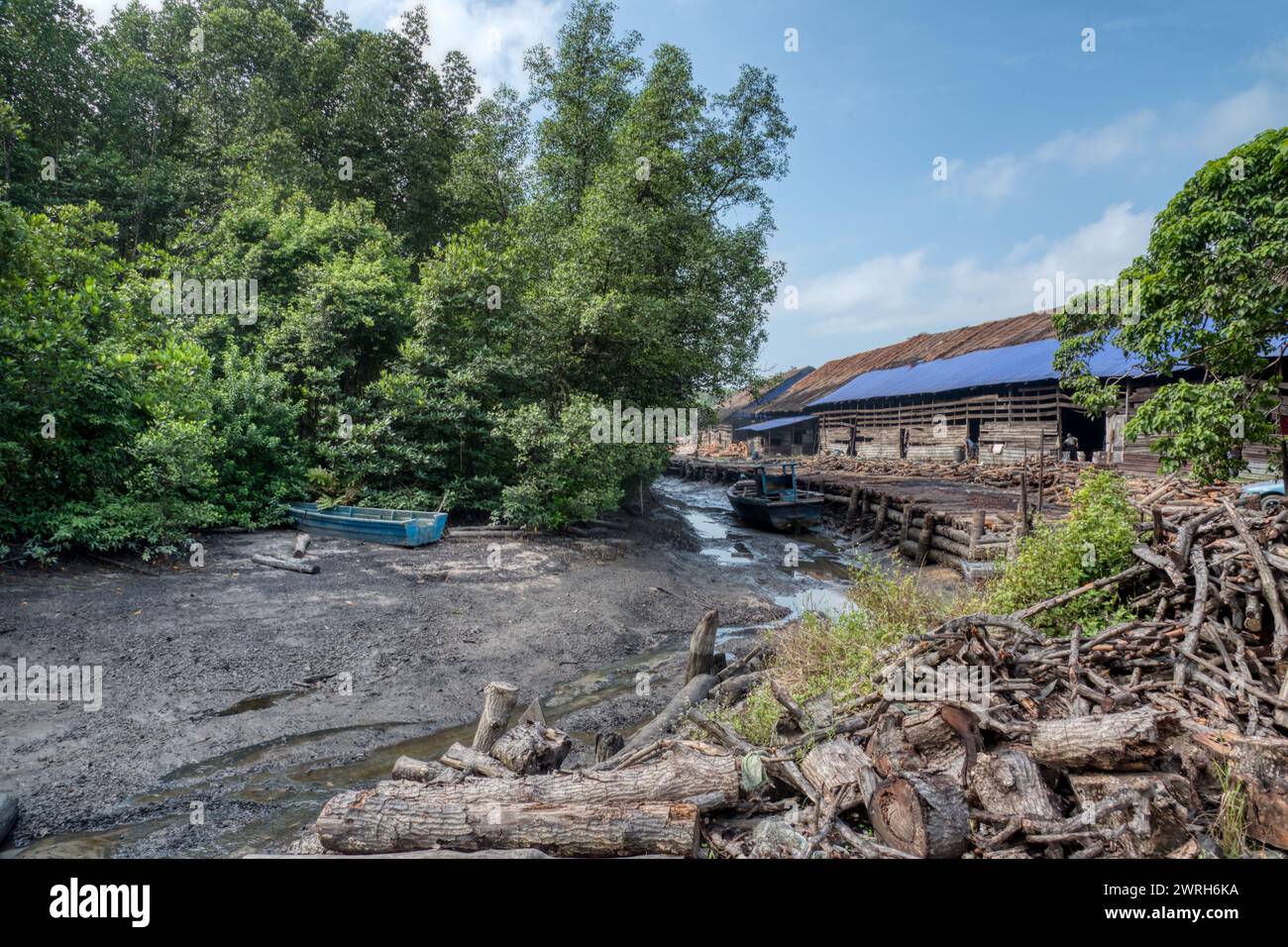 Scene of mangrove logs outside the charcoal factory shed Stock Photo ...