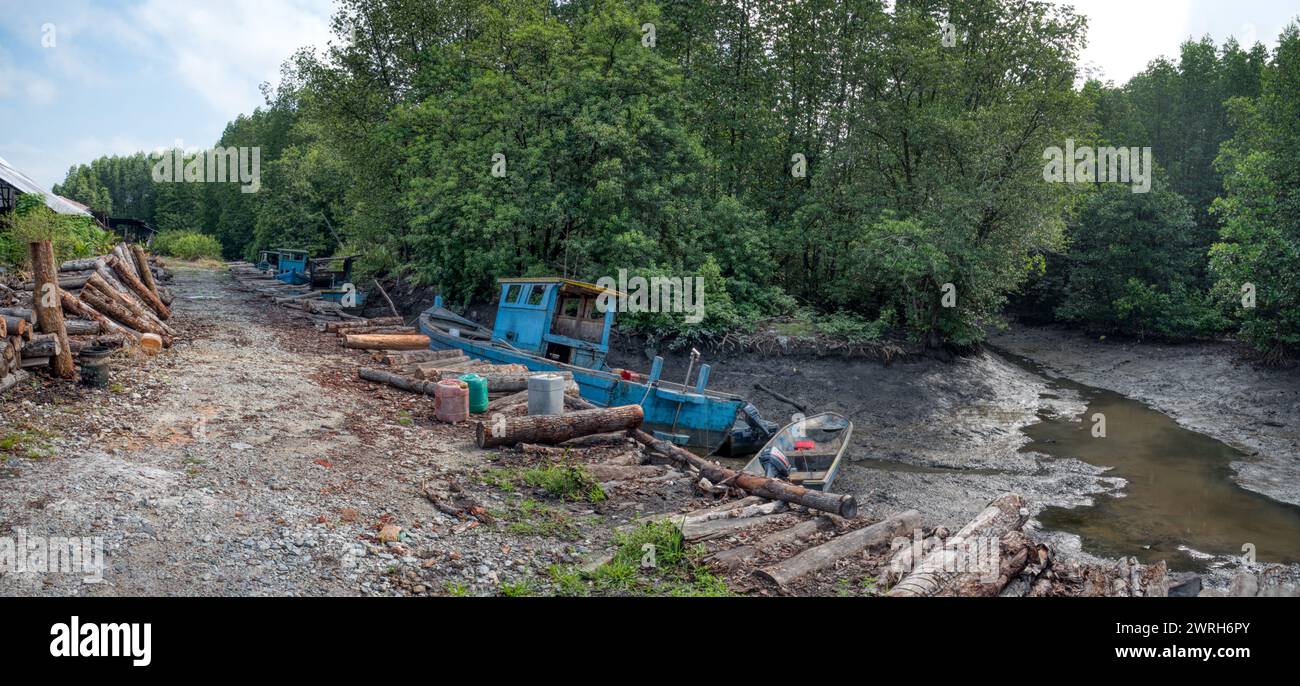 Scene of mangrove logs outside the charcoal factory shed Stock Photo ...