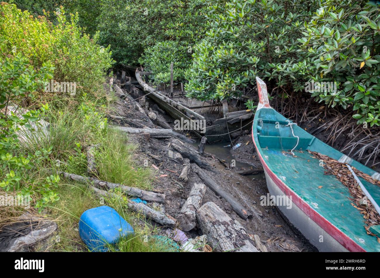 Scene of mangrove logs outside the charcoal factory shed Stock Photo ...