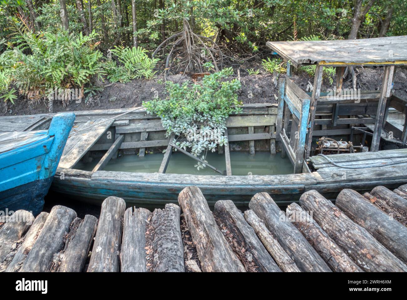 Scene of mangrove logs outside the charcoal factory shed Stock Photo ...