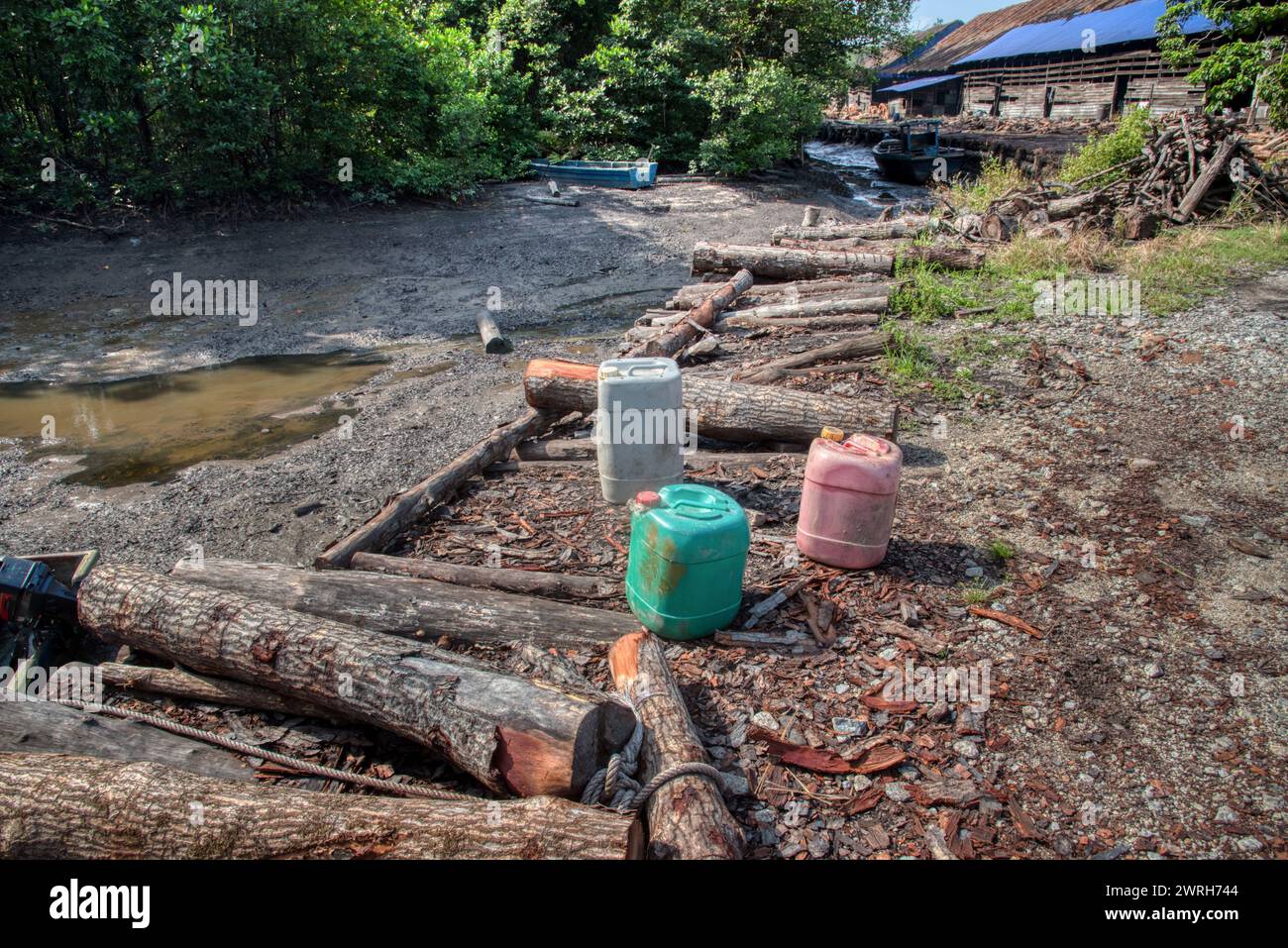 Scene of mangrove logs outside the charcoal factory shed Stock Photo ...
