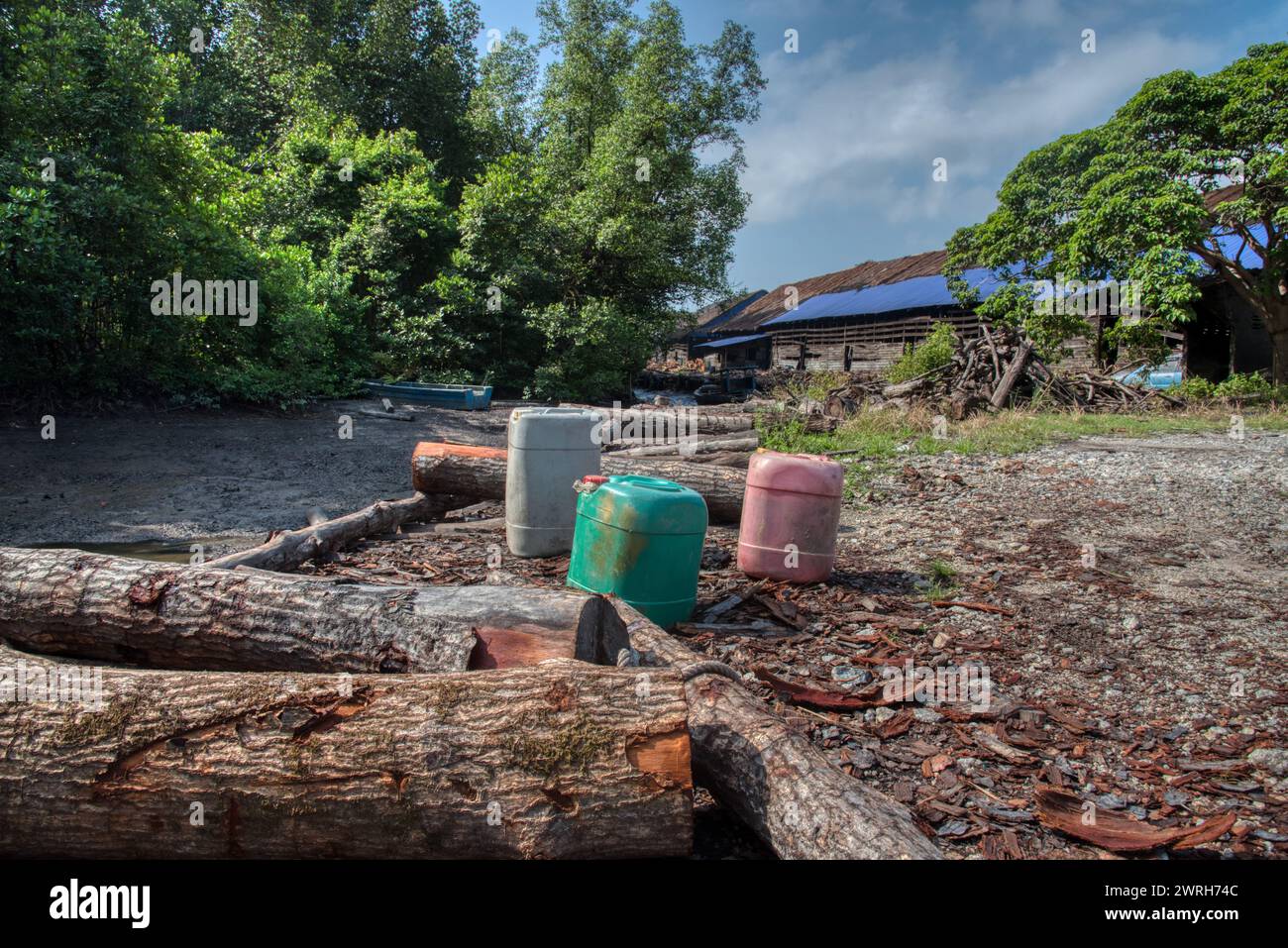 Scene of mangrove logs outside the charcoal factory shed Stock Photo ...