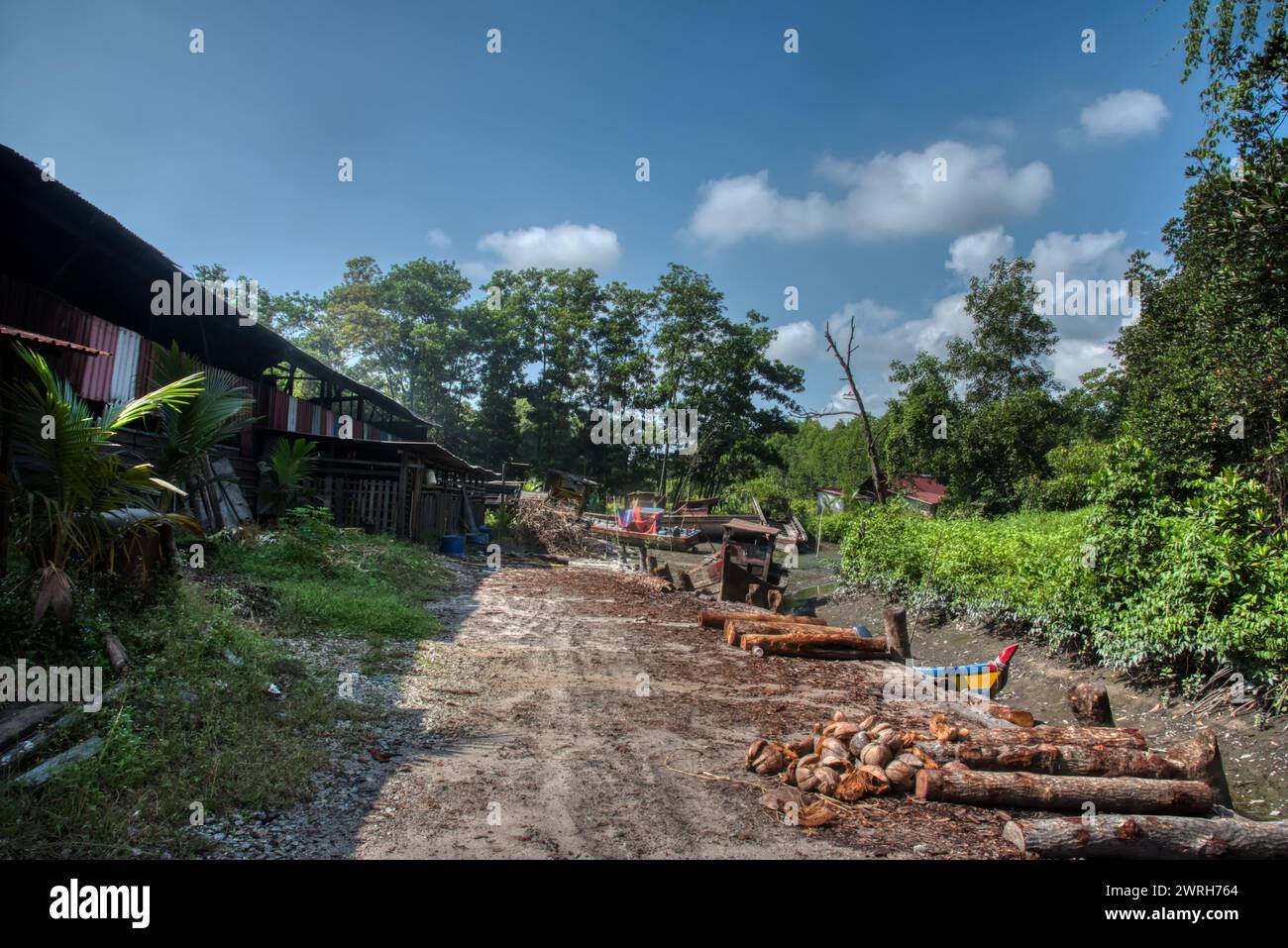 Scene of mangrove logs outside the charcoal factory shed Stock Photo ...