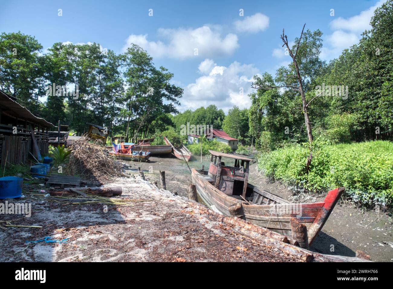 Scene of mangrove logs outside the charcoal factory shed Stock Photo ...