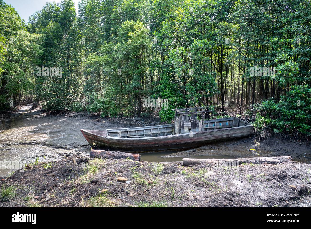 Scene of mangrove logs outside the charcoal factory shed Stock Photo ...