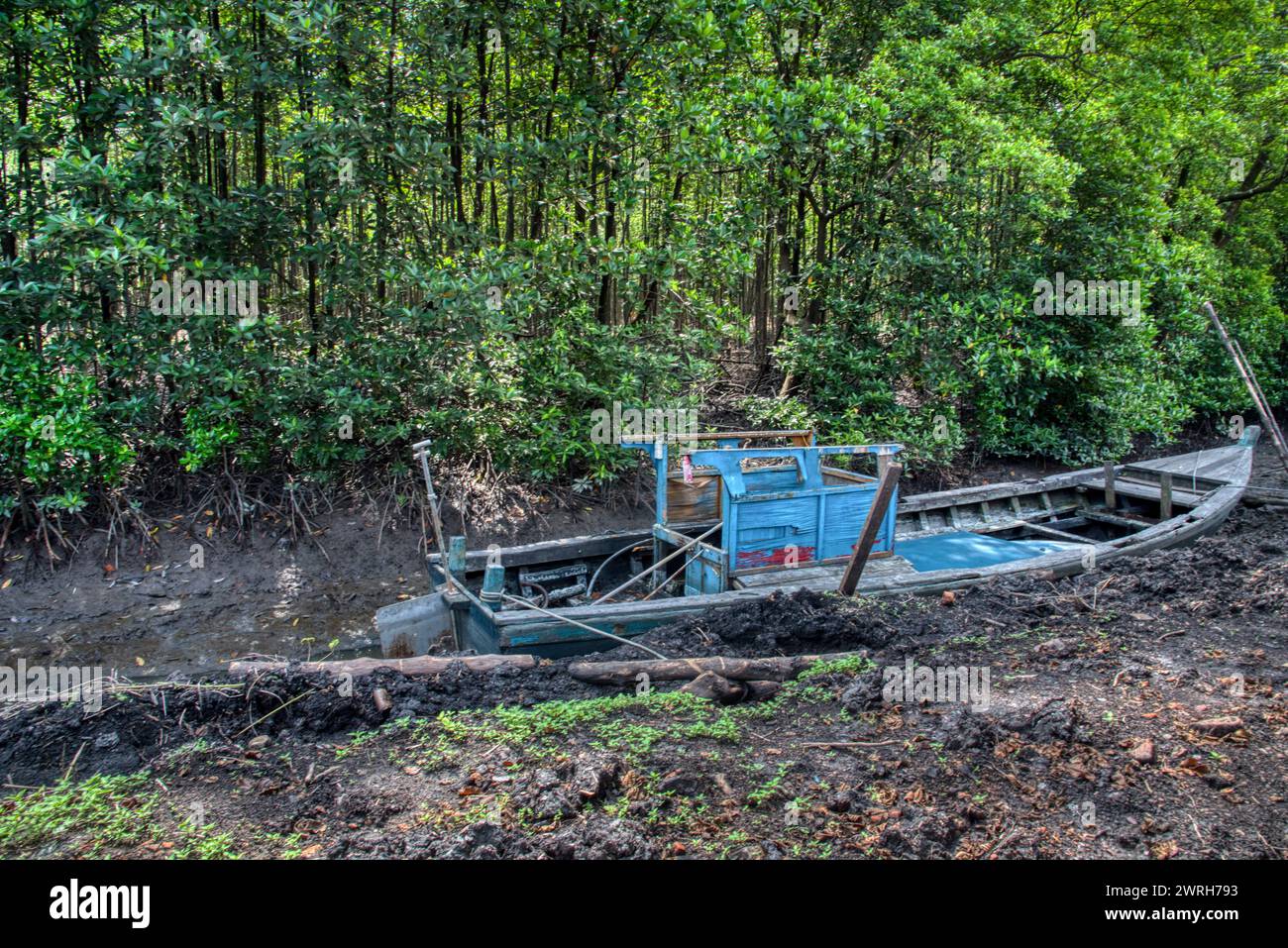 Scene of mangrove logs outside the charcoal factory shed Stock Photo ...