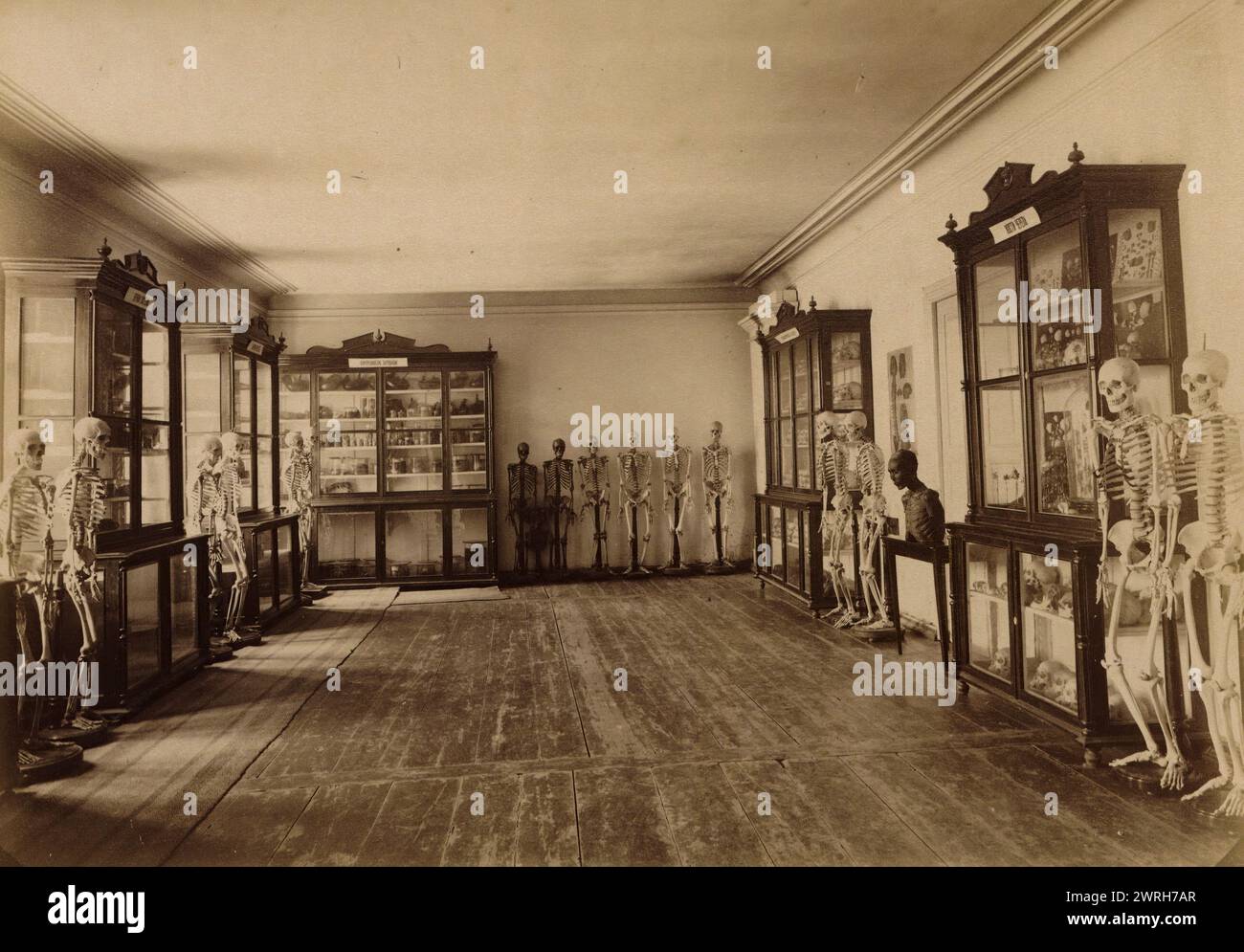 Part of the anatomical museum, 1890. From an album that documents the ...