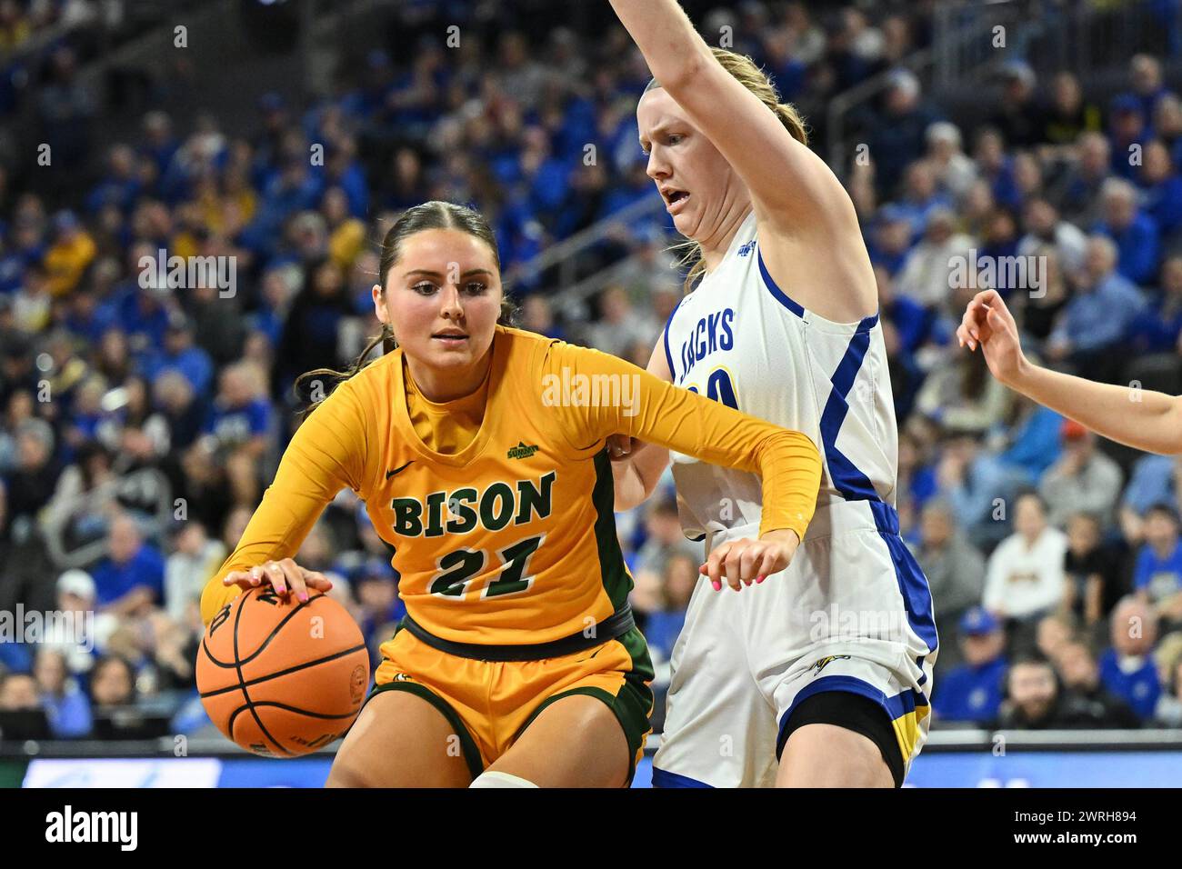 North Dakota State Bison guard Elle Evans (21) makes a move towards the ...